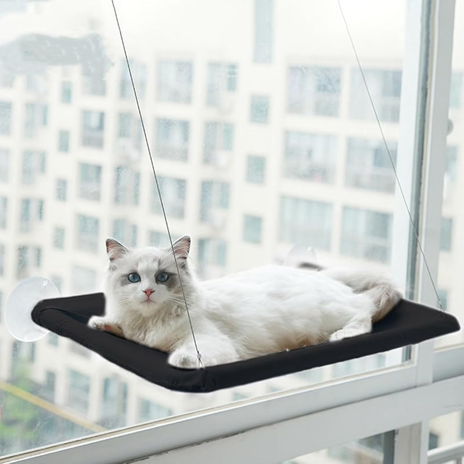 Cat Hammock for Window Cat Window Bed Cat Window Perch for Indoor Cats ...