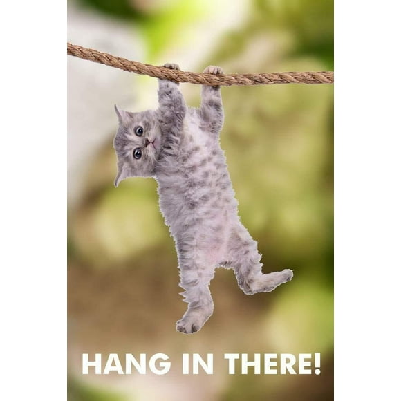 Hang There Cat Poster