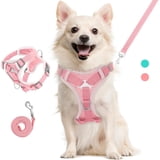 Cat Harness and Leash Set for Walking, Adjustable Kitten Vest Harness ...
