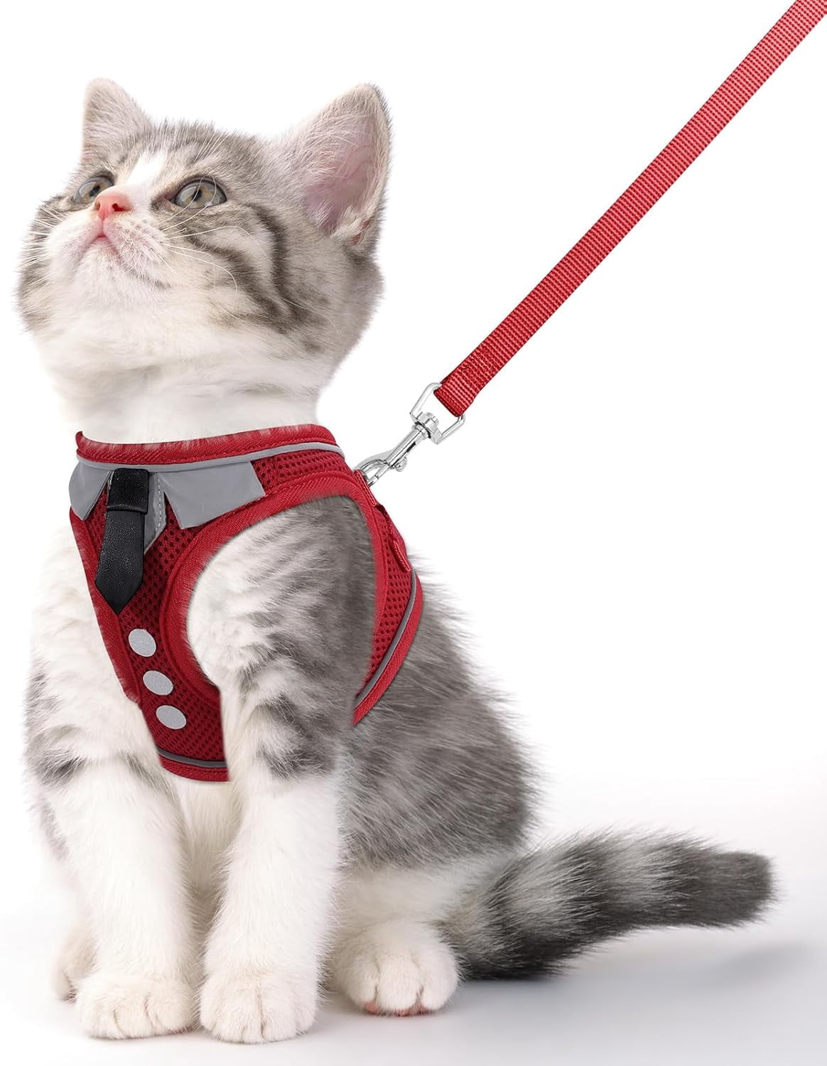 Cat Harness and Leash Set for Walking Escape Proof, Soft Adjustable ...