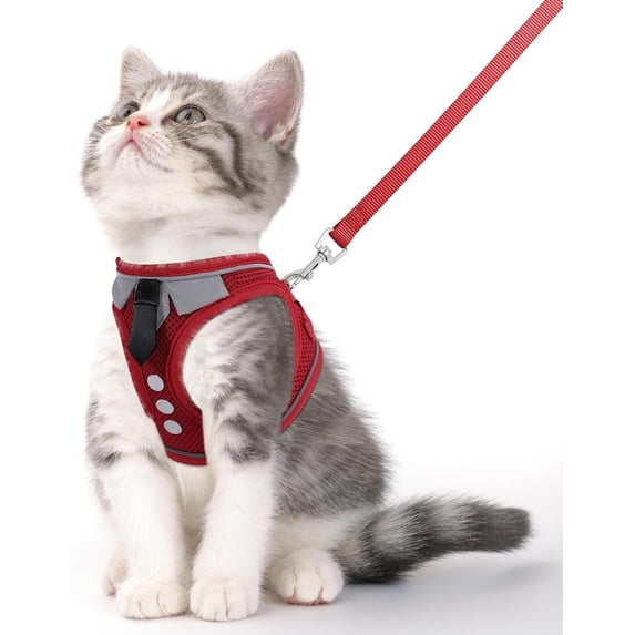 Cat Harness and Leash Set for Walking Escape Proof, Soft Adjustable ...