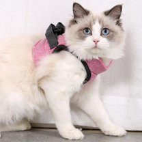 Rabbitgoo Pet-Safe Cat Harness with Leash: Escape-Proof, Breathable ...