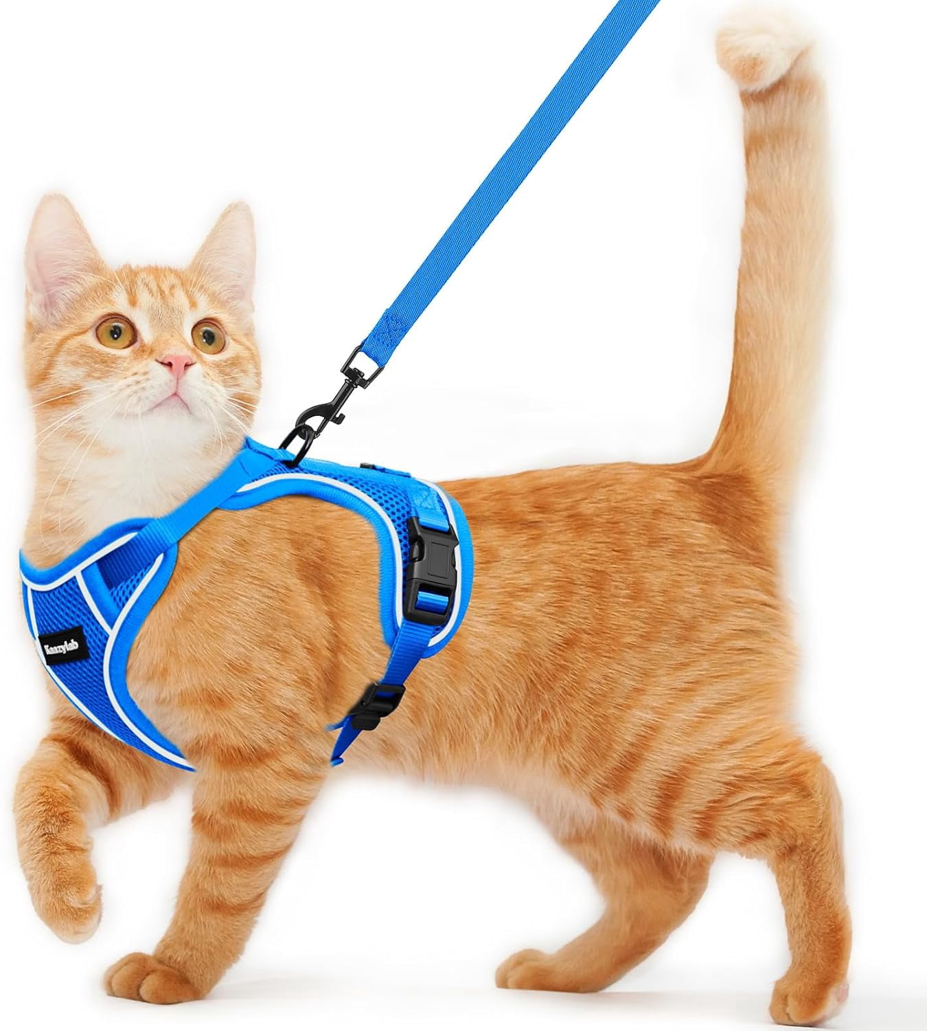 Cat Harness and Leash for Walking Escape Proof Soft Adjustable Cat ...