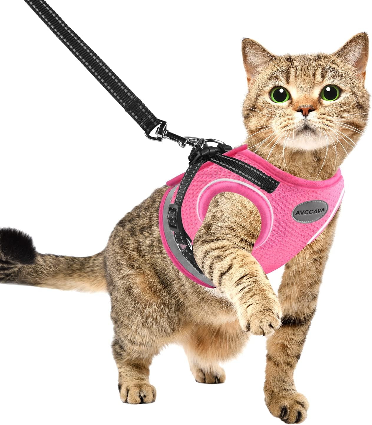 Cat Harness and Leash for Walking, Kitten Escape Proof Harnesses ...
