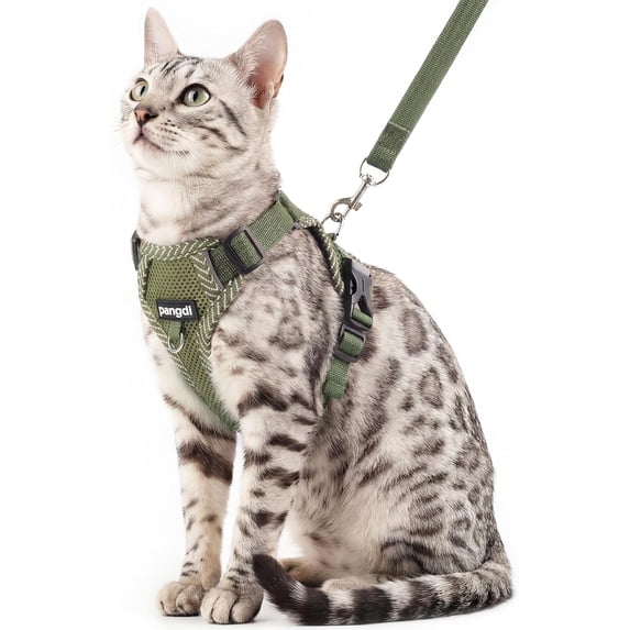 Cat Harness and Leash Escape Proof Large Kitten Ragdoll Vest for ...