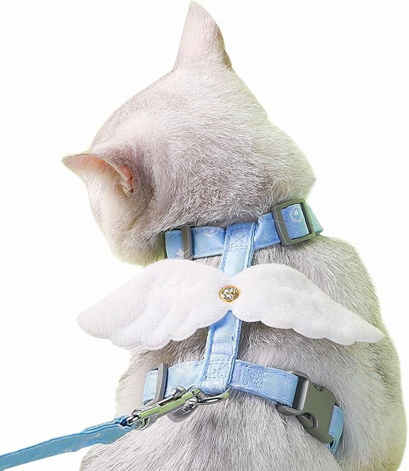Cat Harness and Leash Set Wing for Outdoor Travel Walking Escape Proof ...