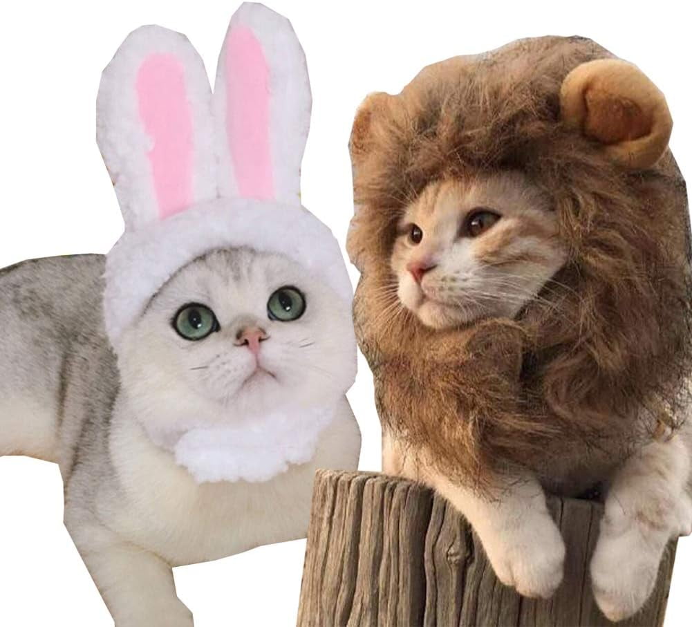 Cat Hat Cat Costume Adjustable Pet Headwear Cat Bunny Hat with Rabbit ...