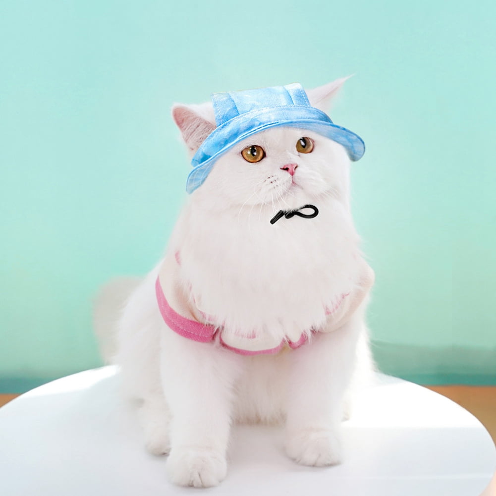 Cat Hats for Cats Only, Cat Hat with Ear Hole, Cat Hats for Birthday ...