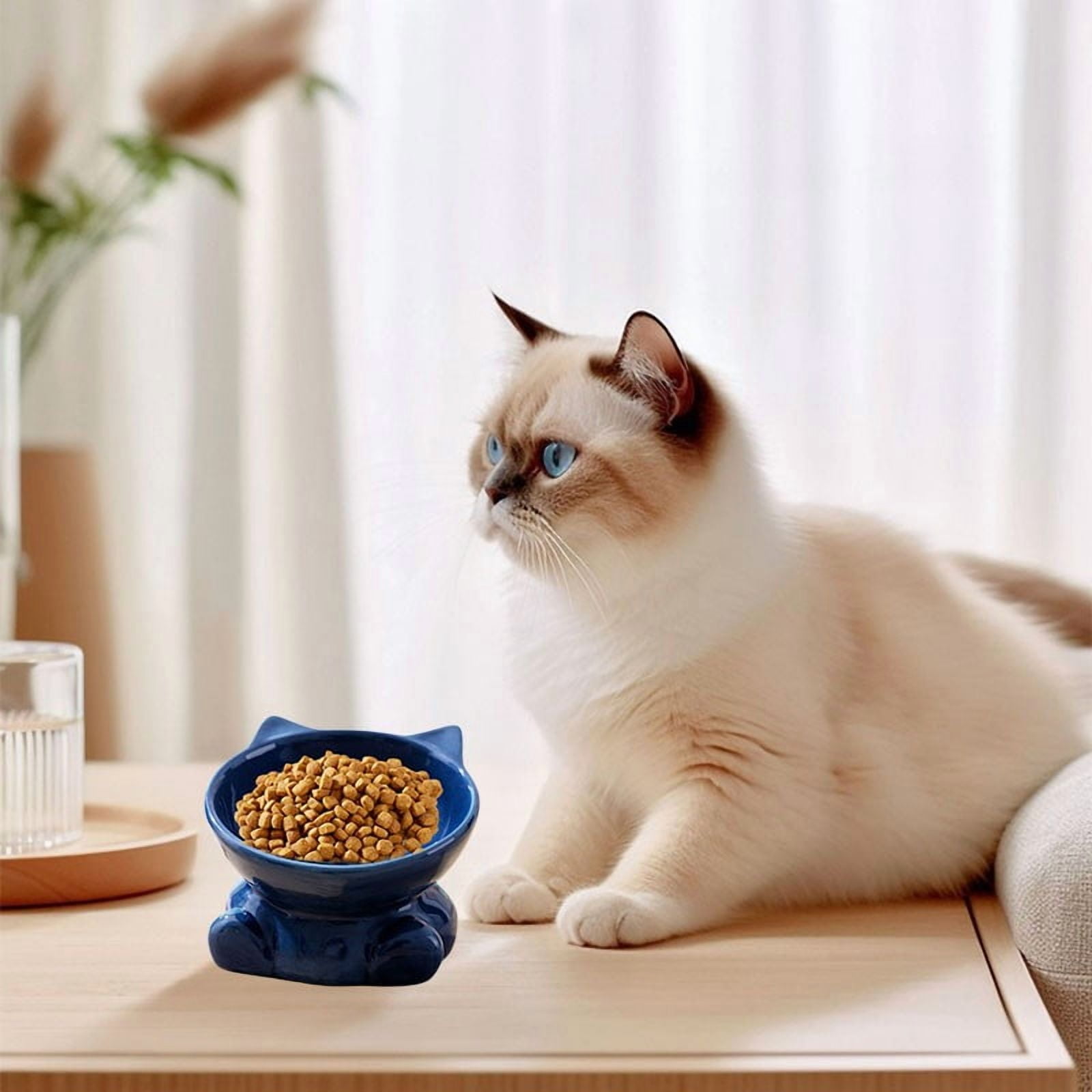 Cat Head Ceramic Cat Bowl for Food and Water - Slanted Not Prone to ...