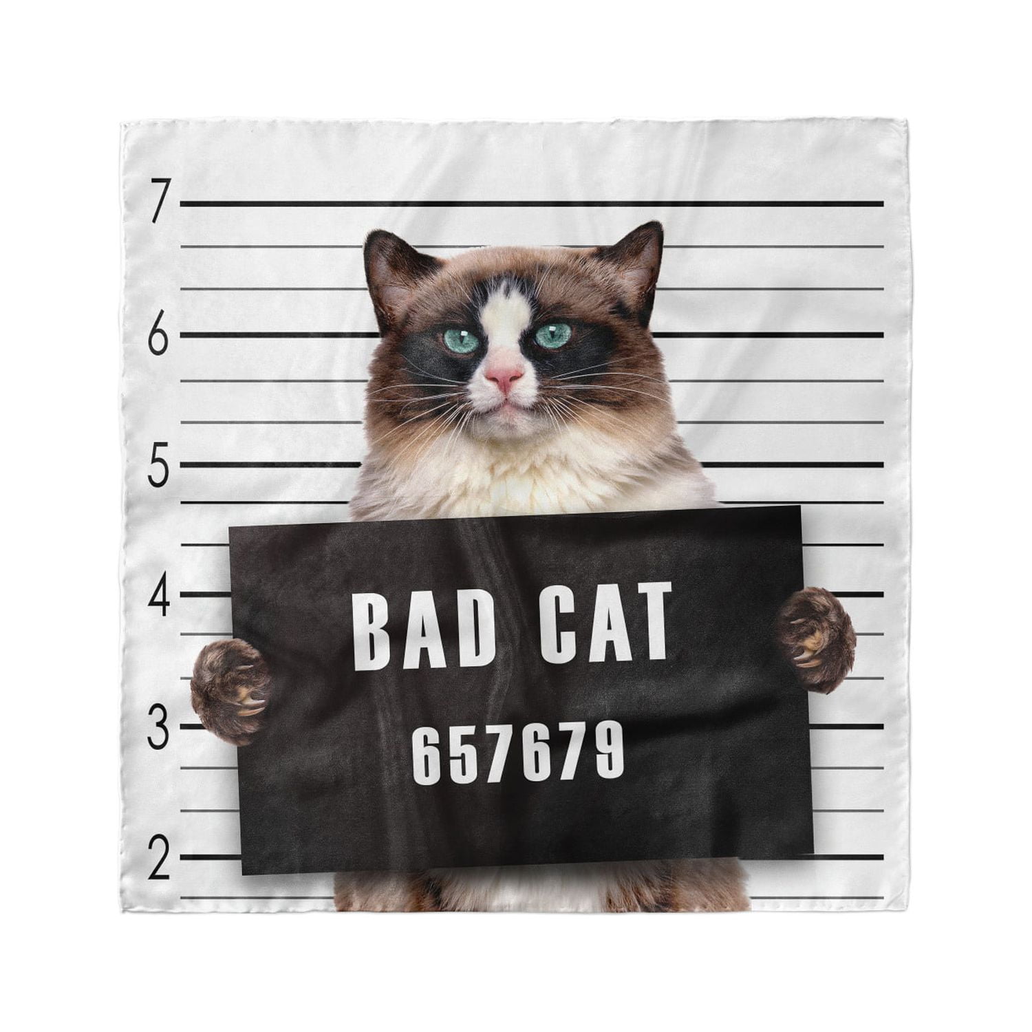 Cat Head Scarf, Jail Kitty Under Arrest, Head Wrap, 3 Sizes, by ...