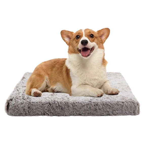 Cat Heating Pad Indoor - Soft Portable Mat,Dogs Electric Pads | for ...
