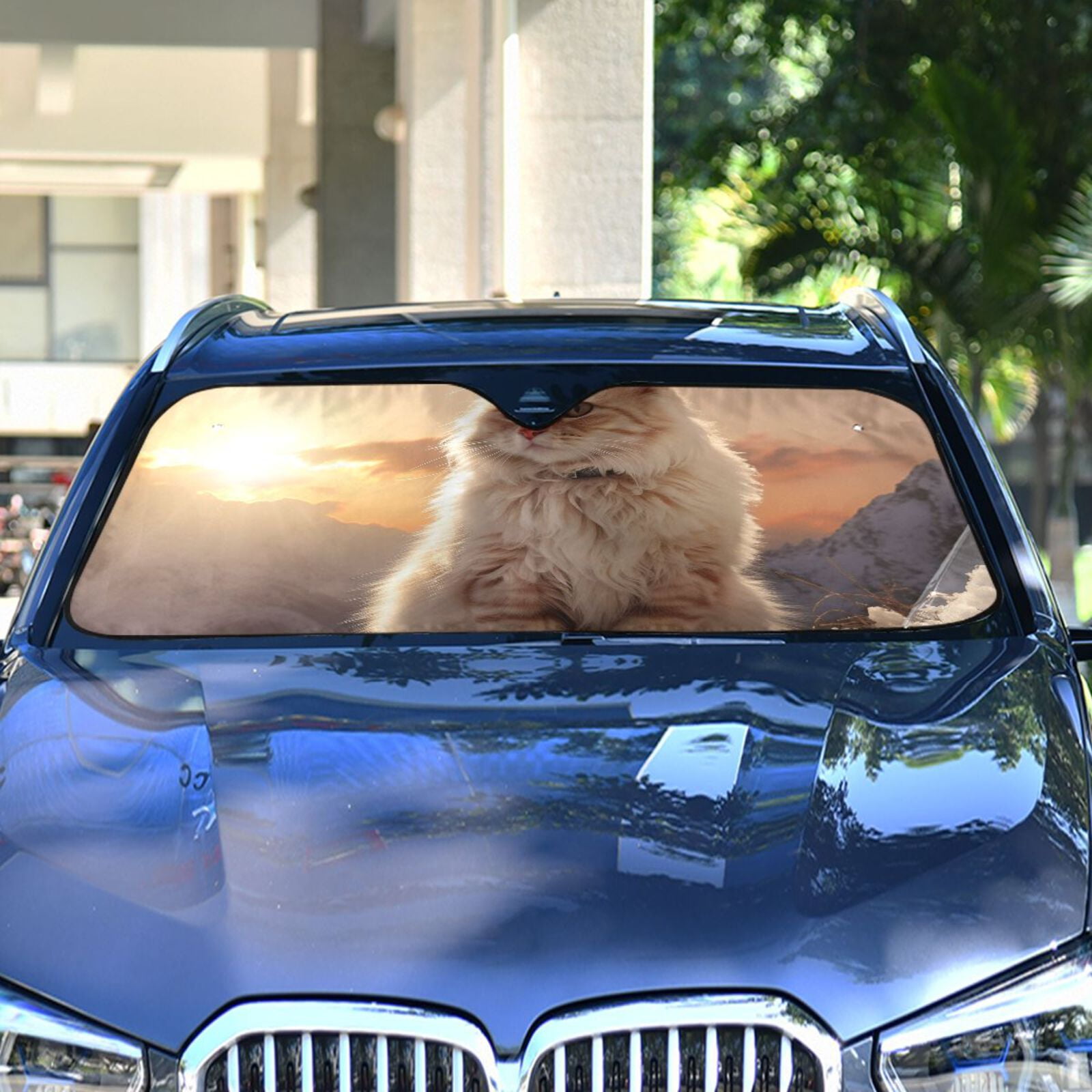Cat Iceberg Clouds Sunlight Automotive Front Car Windshield Sun Shade Reflector Foldable for ...