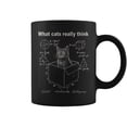 Cat In Box Math Humor For Cat Lovers Coffee Mugs - Walmart.com