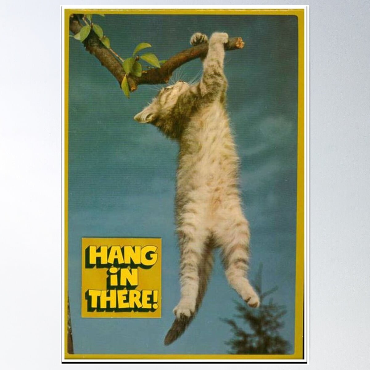 Cat In Hang Poster Poster Wall Art, Modern Wall Decor For Living Room Bedroom, 24x36 UNFRAMED ...
