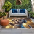 Cat Indoor Outdoor Rugs 5x7 Ft, Abstract Headphone Cat Shiny Light ...