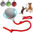 Cat Interactive Ball Toy, Automatic Rolling Ball with Tail ...