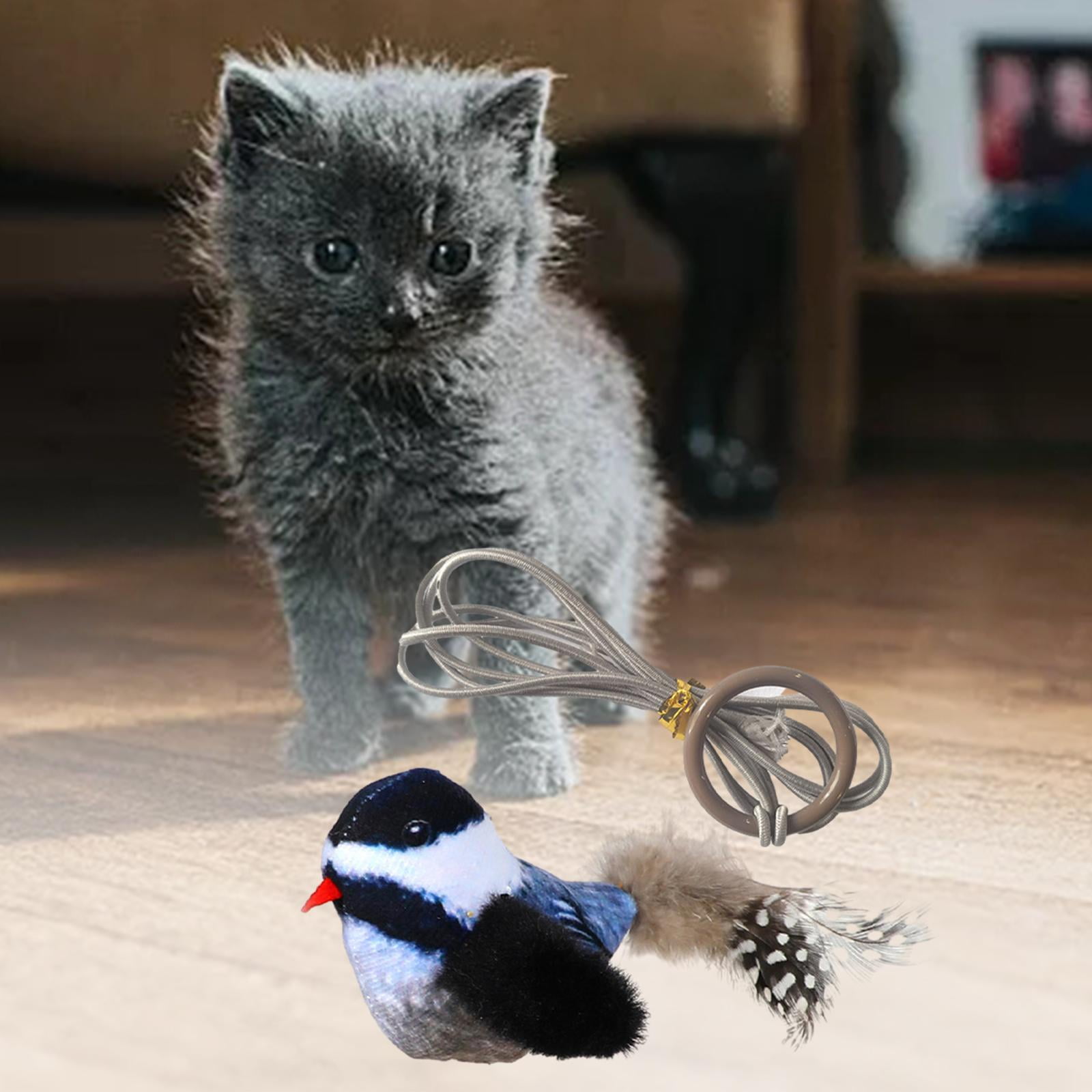 Cat Interactive Toy Chirping Bird Squeaky Toy Small Animals Toy Kitten ...