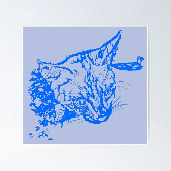 Cat. Kitten. Blue, Line Work Poster Wall Art, Modern Wall Decor For ...