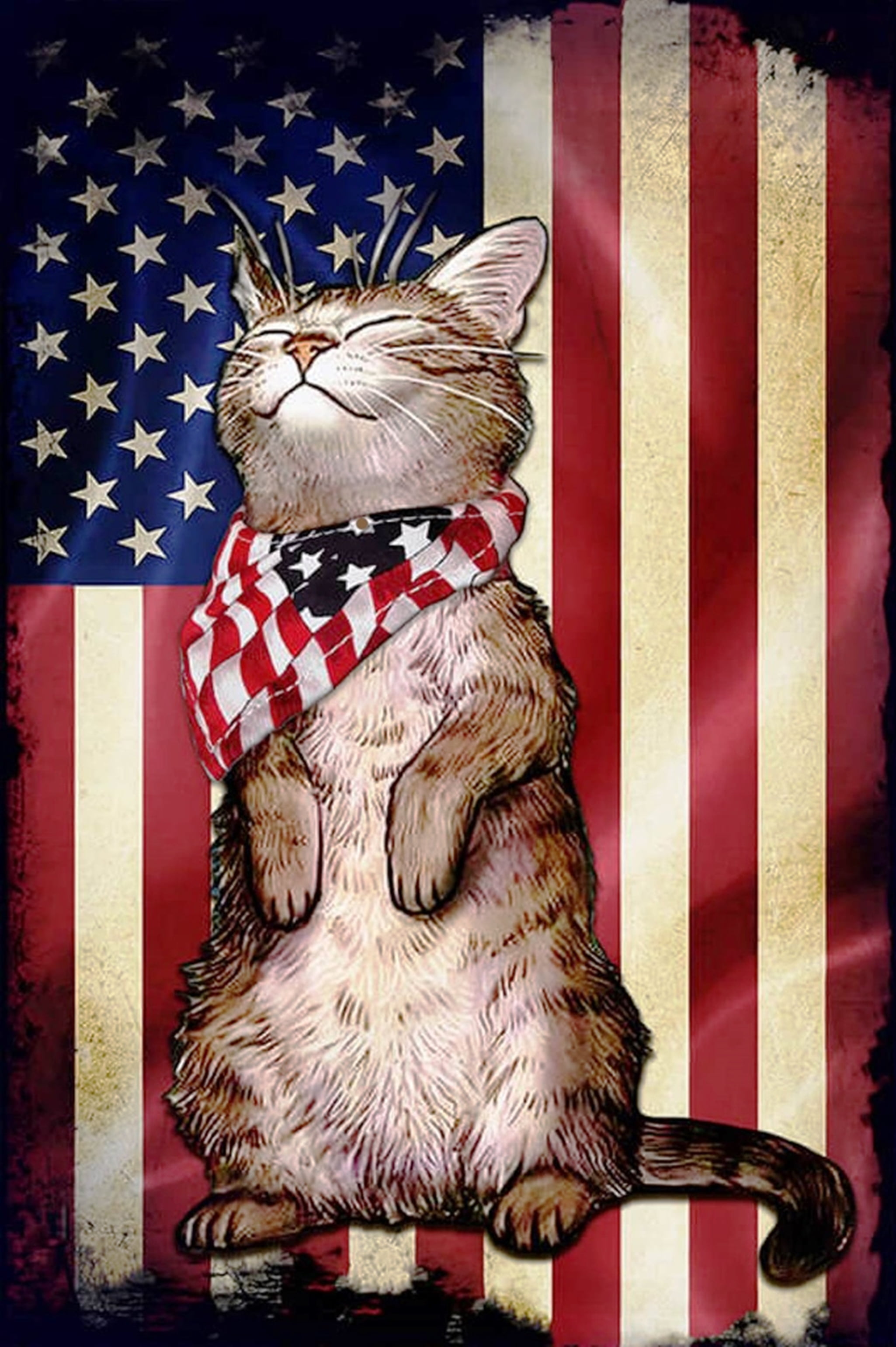 Cat Kitten Kitty American Flag Patriotic Sublimated Double Sided Deluxe ...