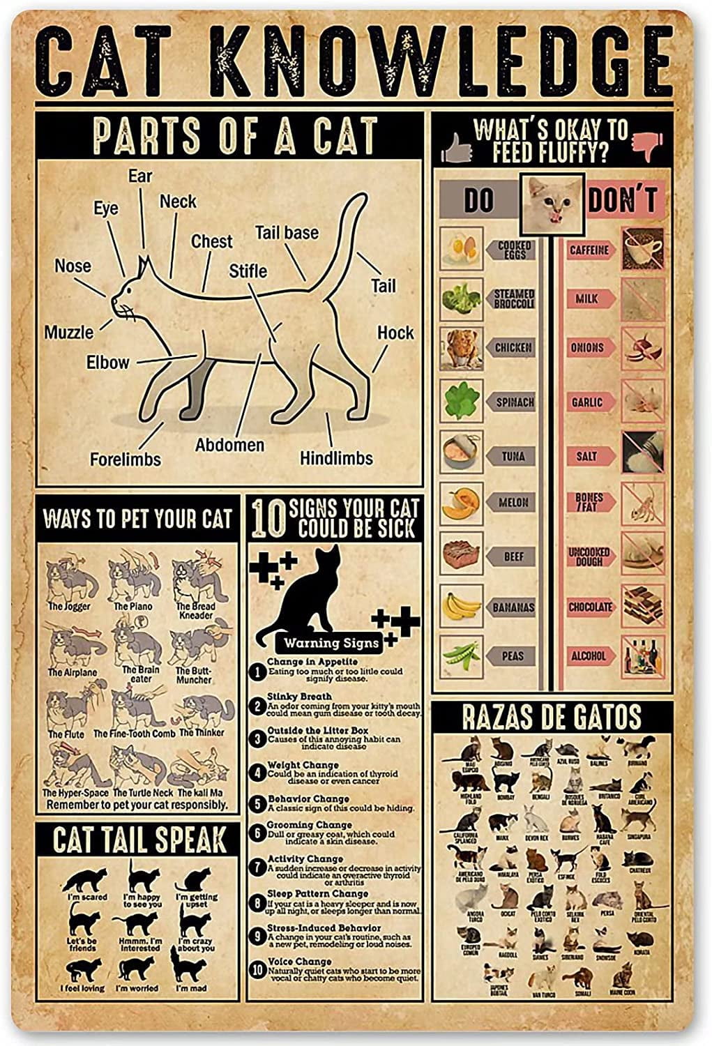 Cat Knowledge Posters Cat Science Education Metal Signs Retro Wall ...