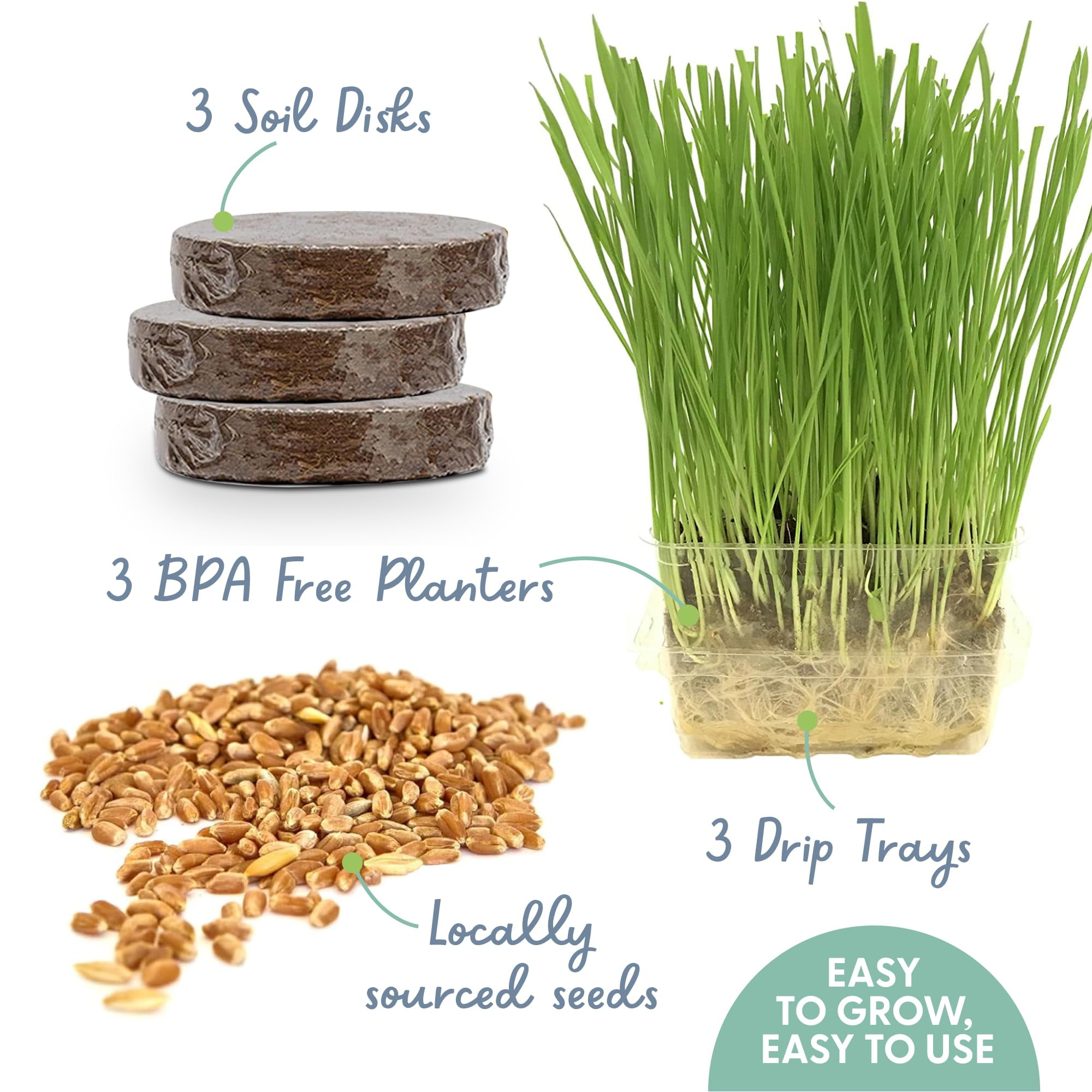 The Cat Ladies Cat Grass for Indoor H2FSDCats - Growing Kit - Organic ...