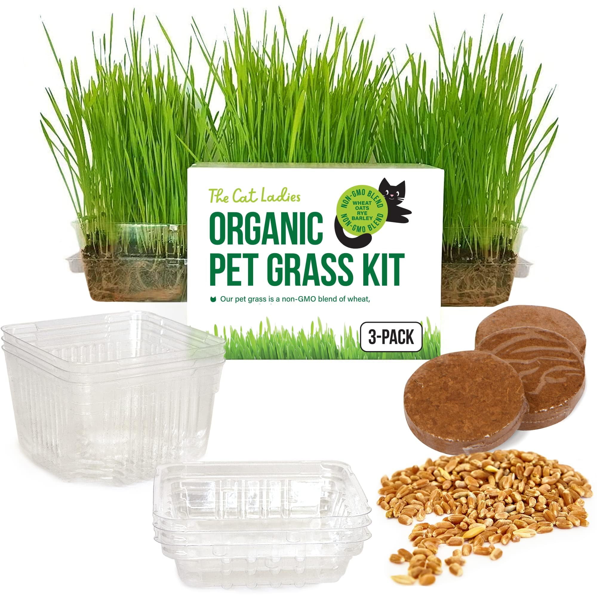 The Cat Ladies TWE5 Cat Grass for Indoor Cats - Growing Kit - Organic ...