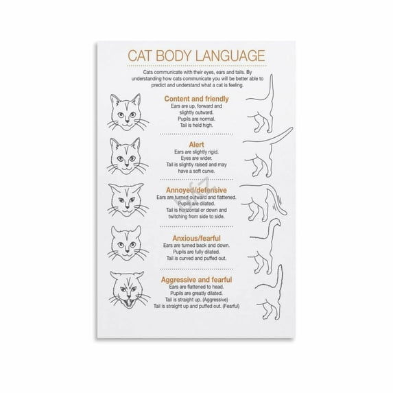 Cat Language Poster Cat Body Language Chart (7) Canvas Painting Wall ...