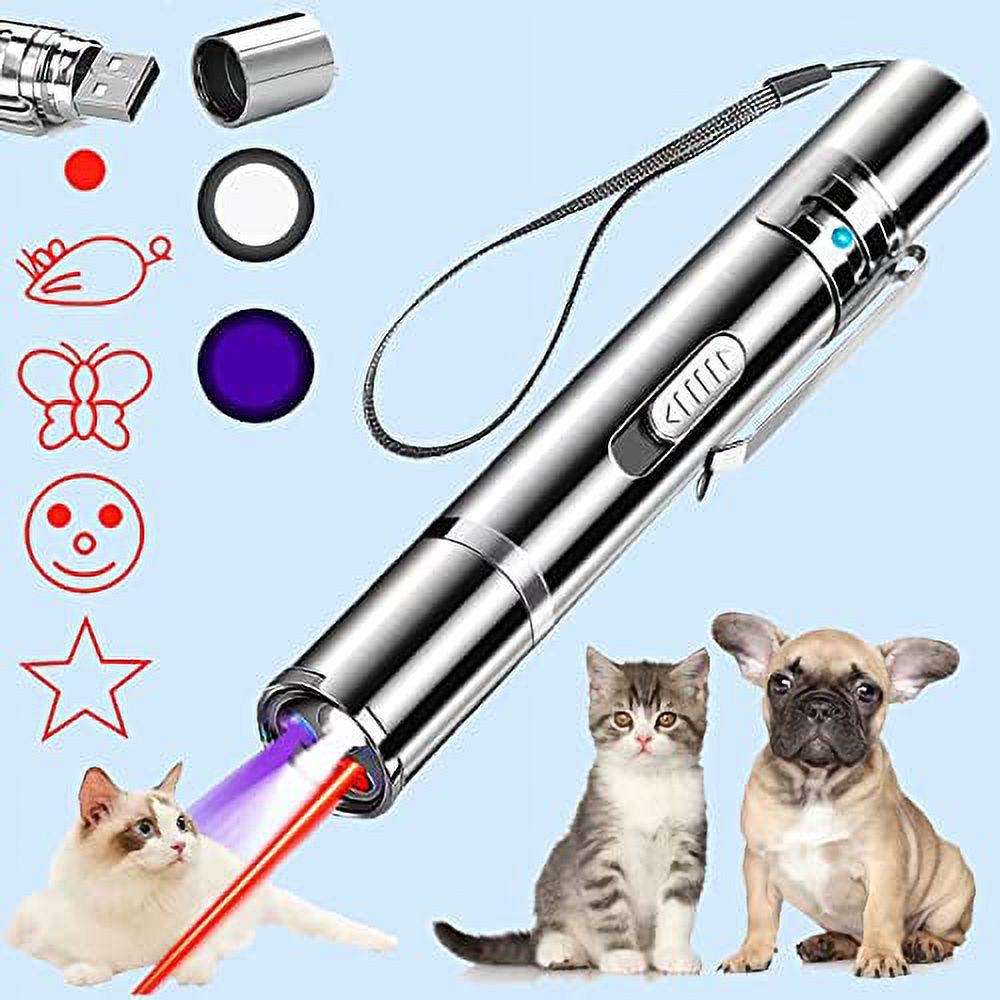 Cat Laser Toy, Dog Laser Pointer for Interactive Toys for Indoor Cats ...