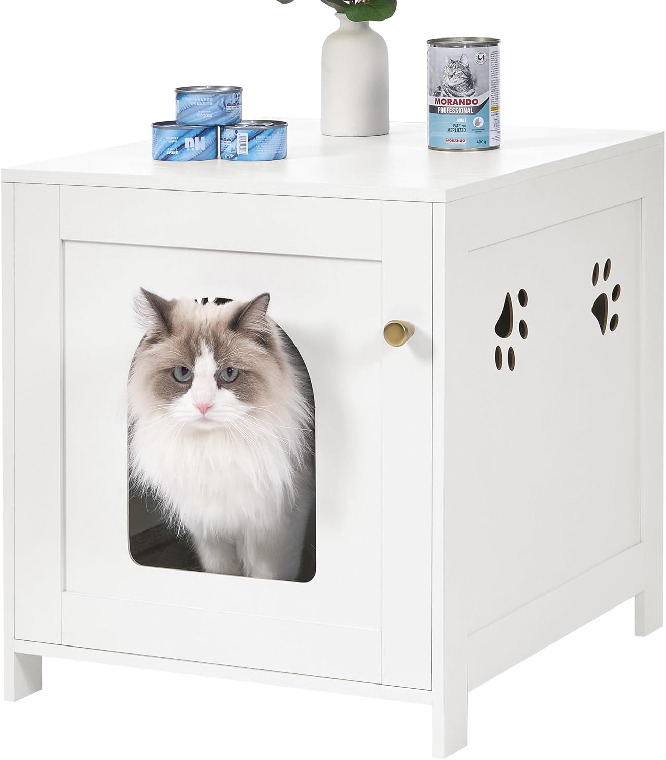 Cat Litter Box Enclosure, 21.6" L Hidden Litter Box Furniture, Wooden ...