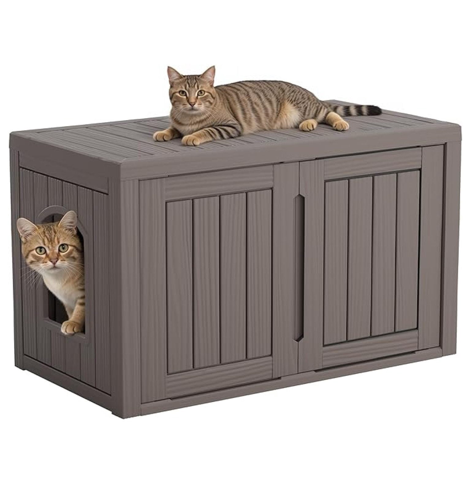 Cat Litter Box Enclosure, Covered Cat Litter Box with Adjustable ...