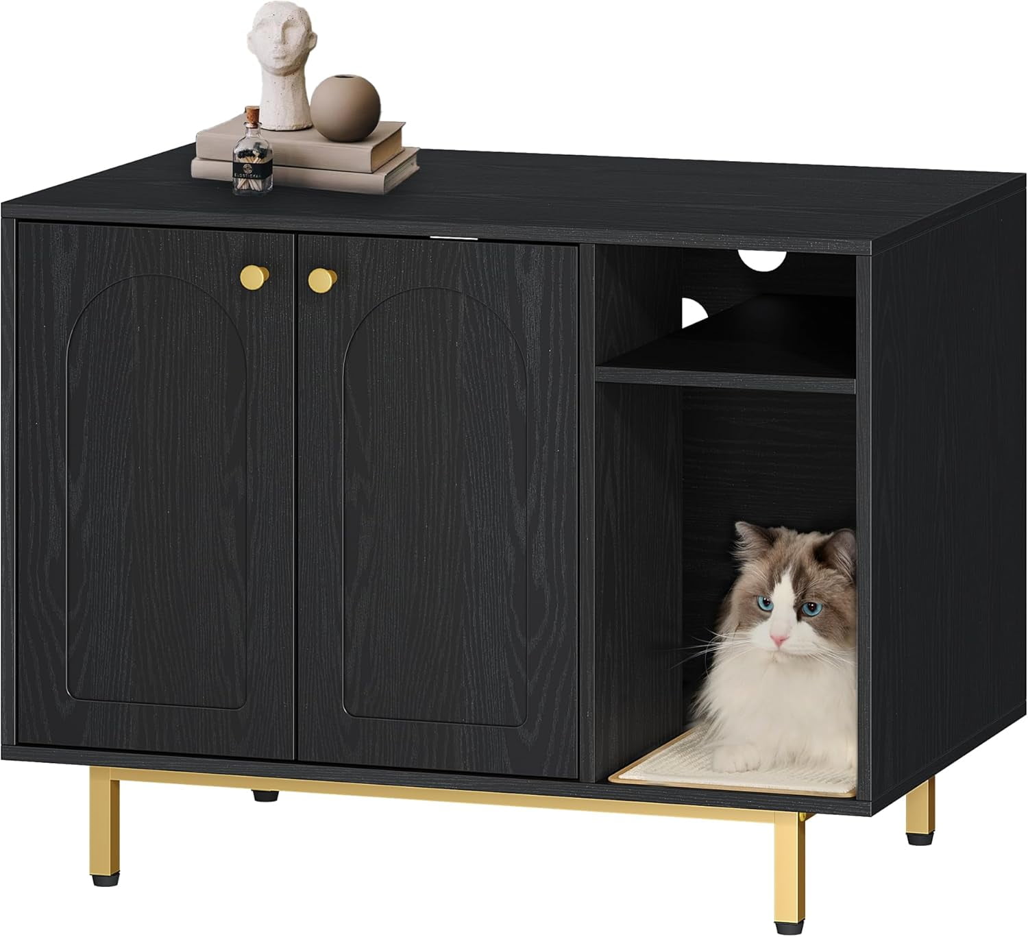 Cat Litter Box Enclosure Enclosed, Hidden Litter Box Cabinet Furniture ...
