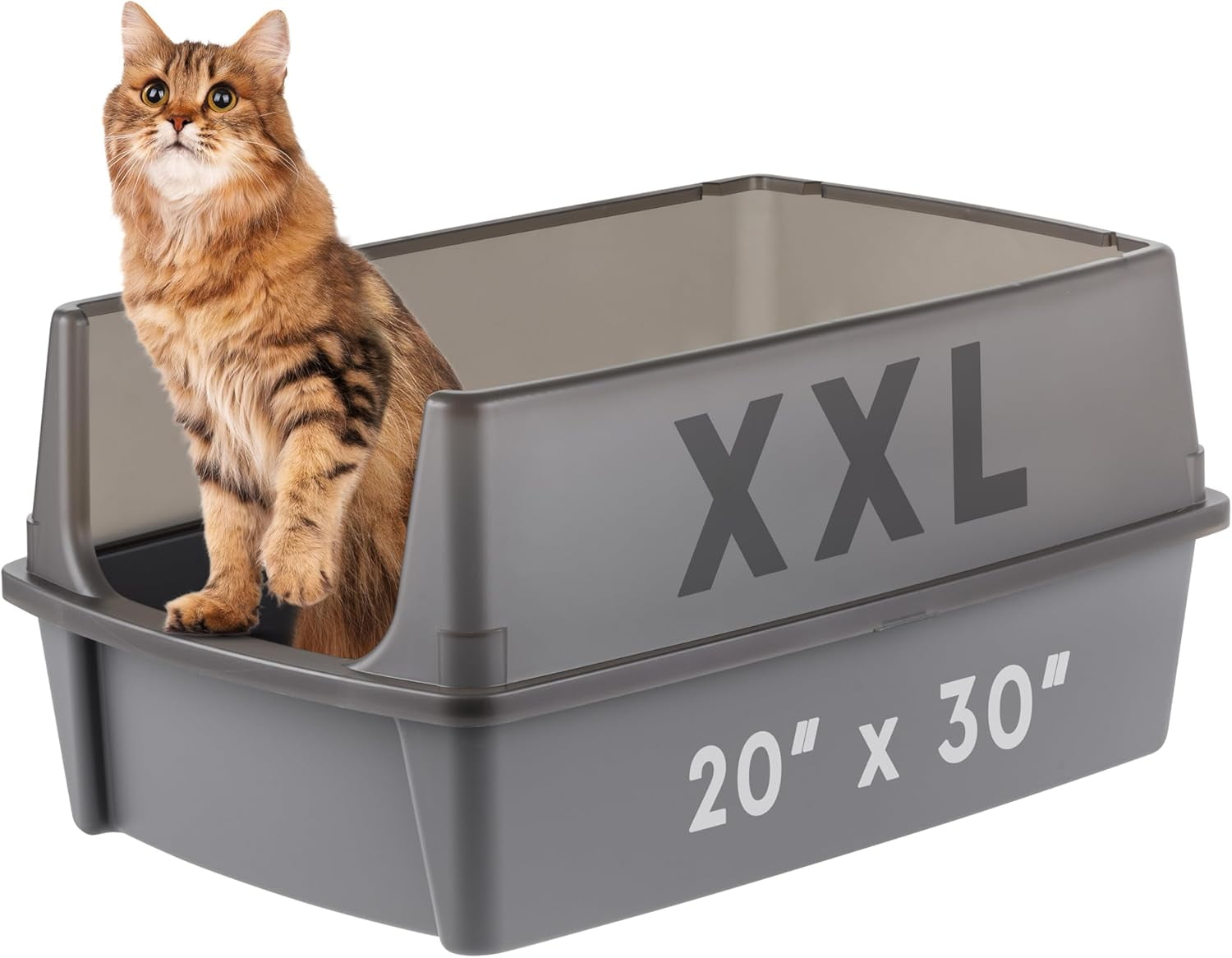 Cat Litter Box, Open Top Extra Large Litter Box for Big Cats and Multi ...
