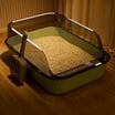 Petmate Hi-Back Open Top High Sided Cat Litter Box 23" Plastic Cat ...