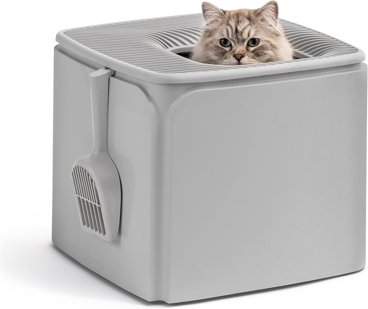 Cat Litter Box with Front Door Flap and Scoop, Covered Kitty Box with ...