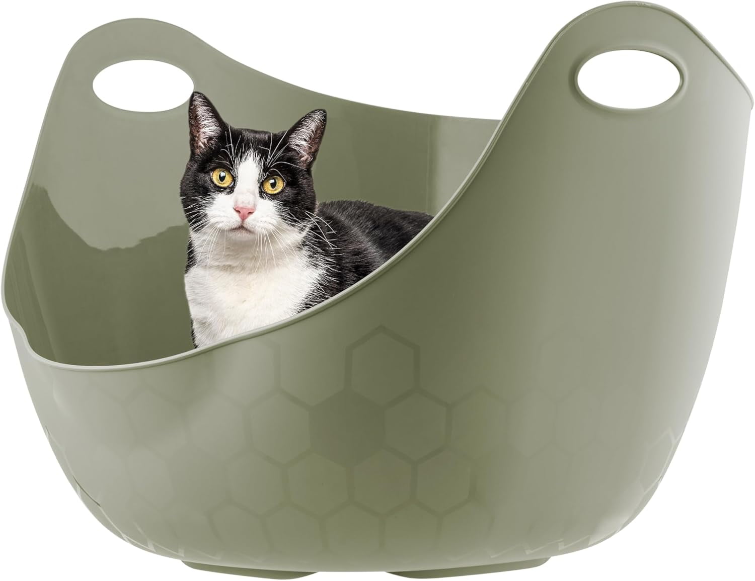 Cat Litter Box with High Walls and Handles, Made with Flexible Plastic ...