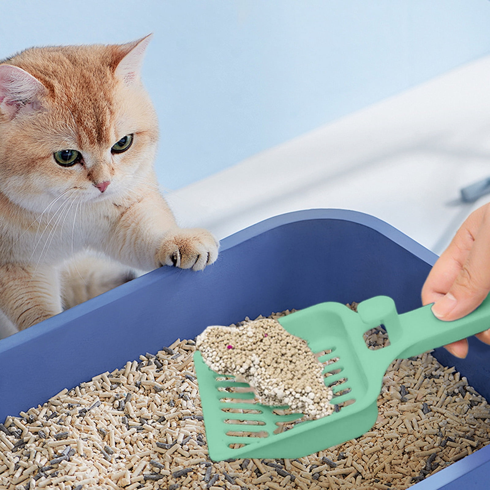 Cat Litter Scoop | Durable Plastic Pet Cleaning Shovel with Wide Mesh ...