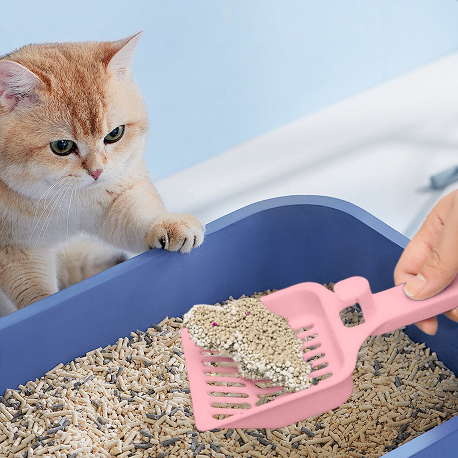 Cat Litter Scoop | Durable Plastic Sifting Shovel | Wide Mouth Scoop ...
