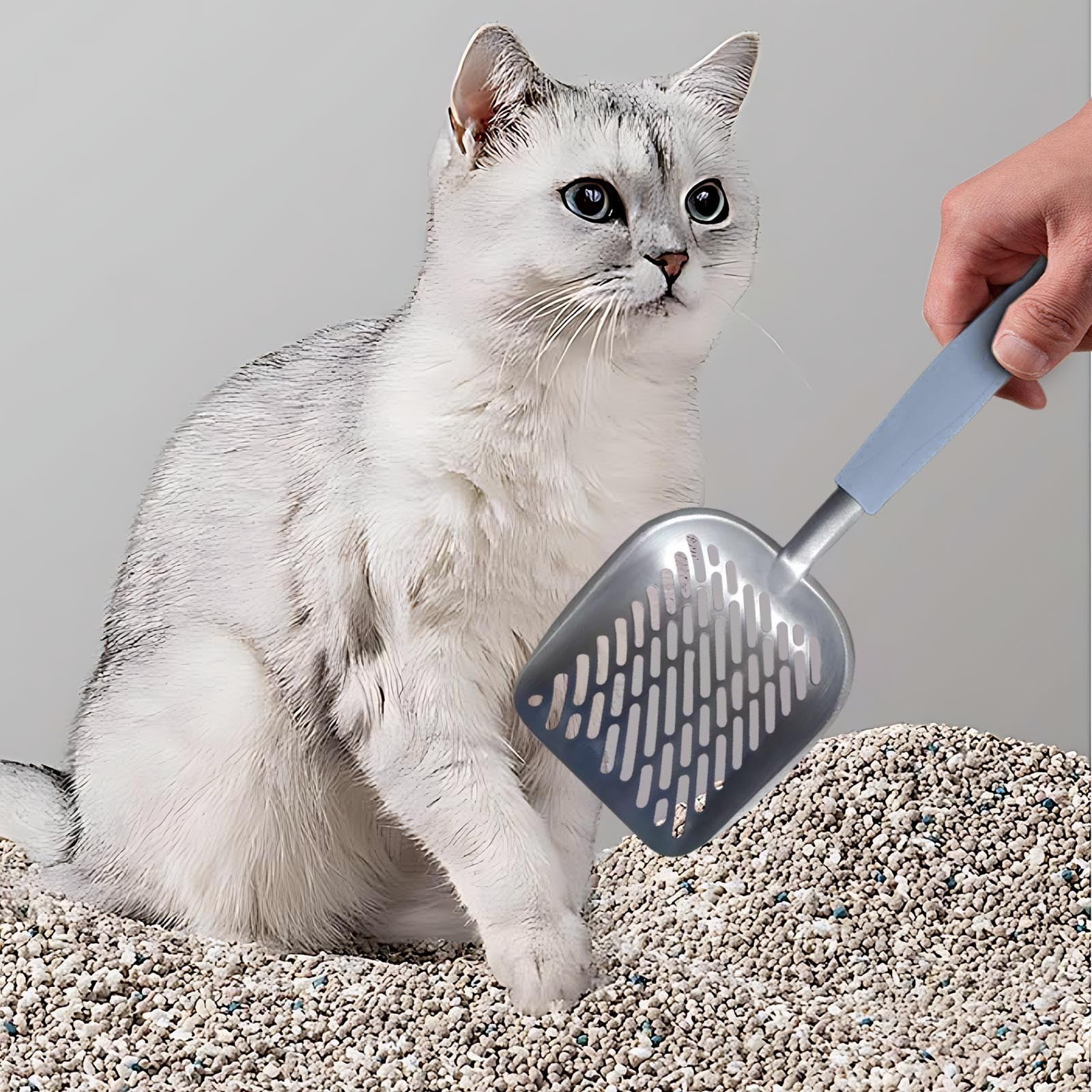 Cat Litter Scoop,Long Handle Cat Scooper,Stainless Steel Metal Scoop ...