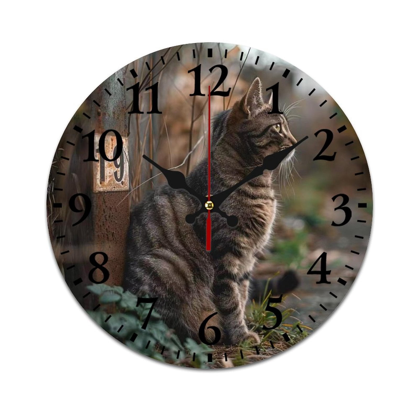 Cat Looking Into The Distance Wall Clock Modern Design Clocks Wall ...