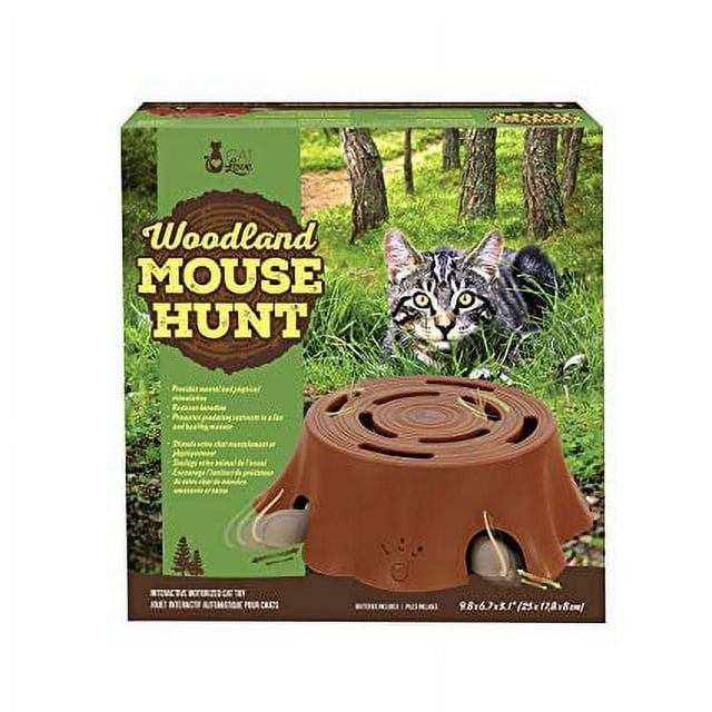 Cat Love Woodland Mouse Hunt Cat Toy - Walmart.com