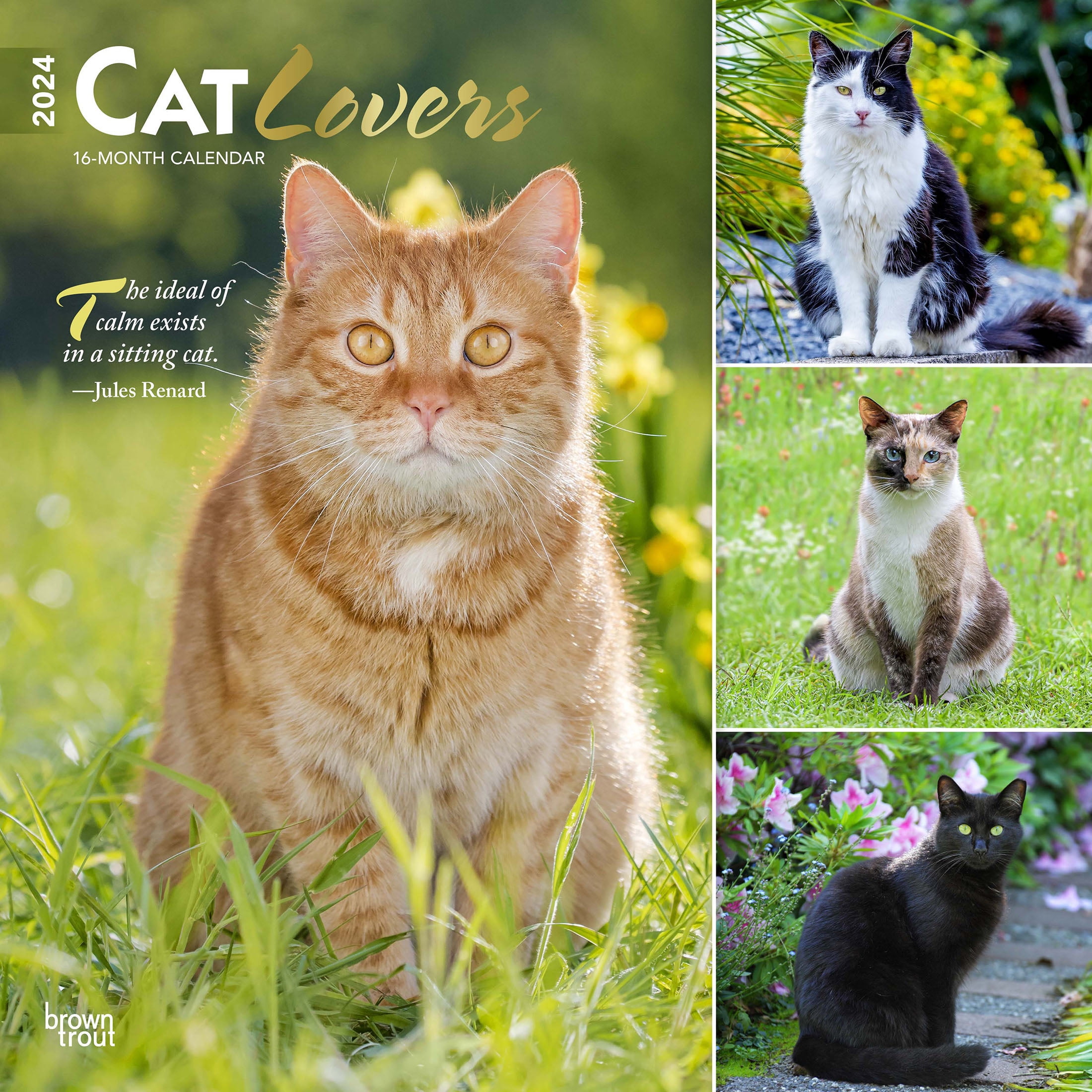 "BrownTrout 2024 Cat Lovers 12x24"" Hanging Square Wall Calendar ...