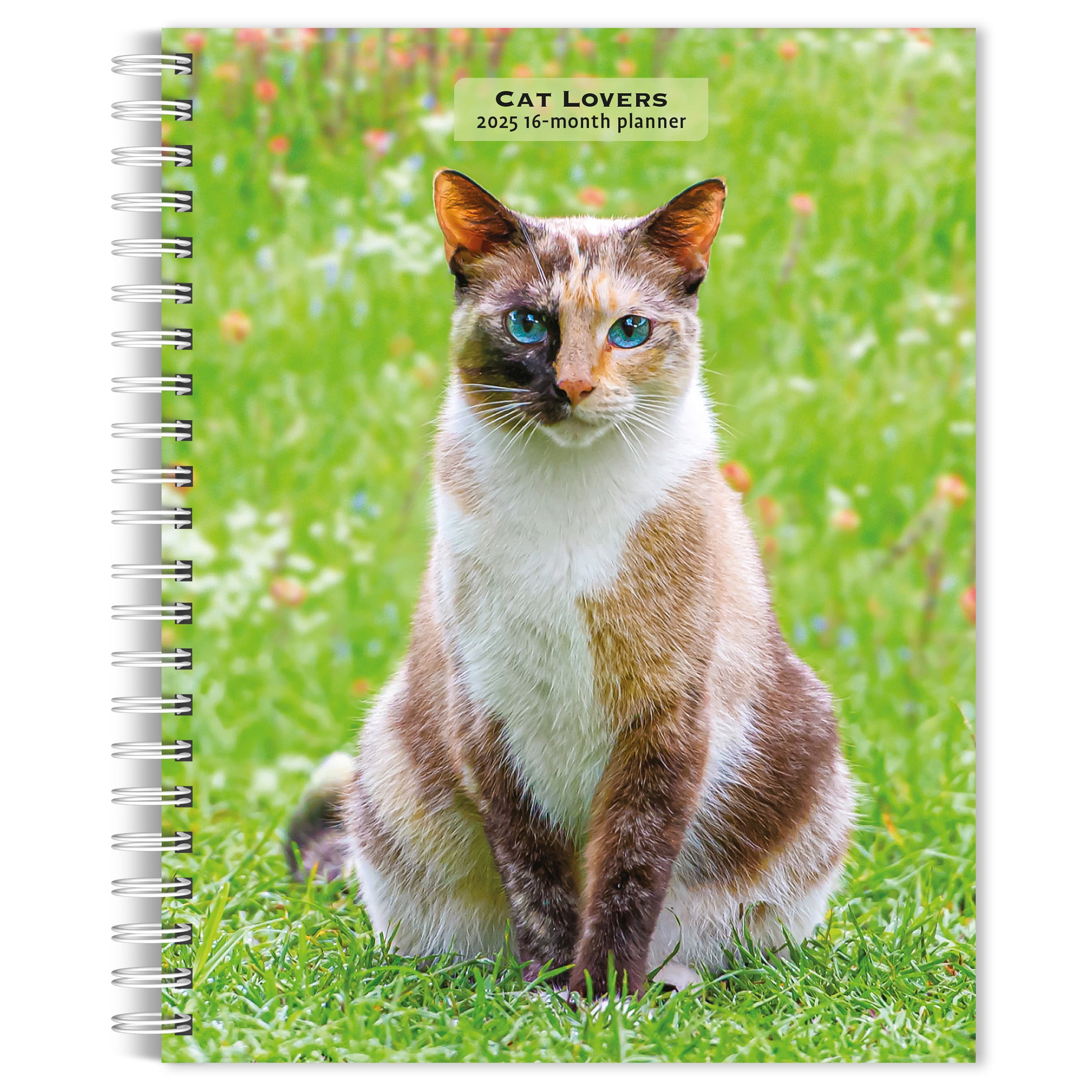 Cat Lovers | 2025 6x7.75" Spiral-Bound Engagement Planner Calendar ...