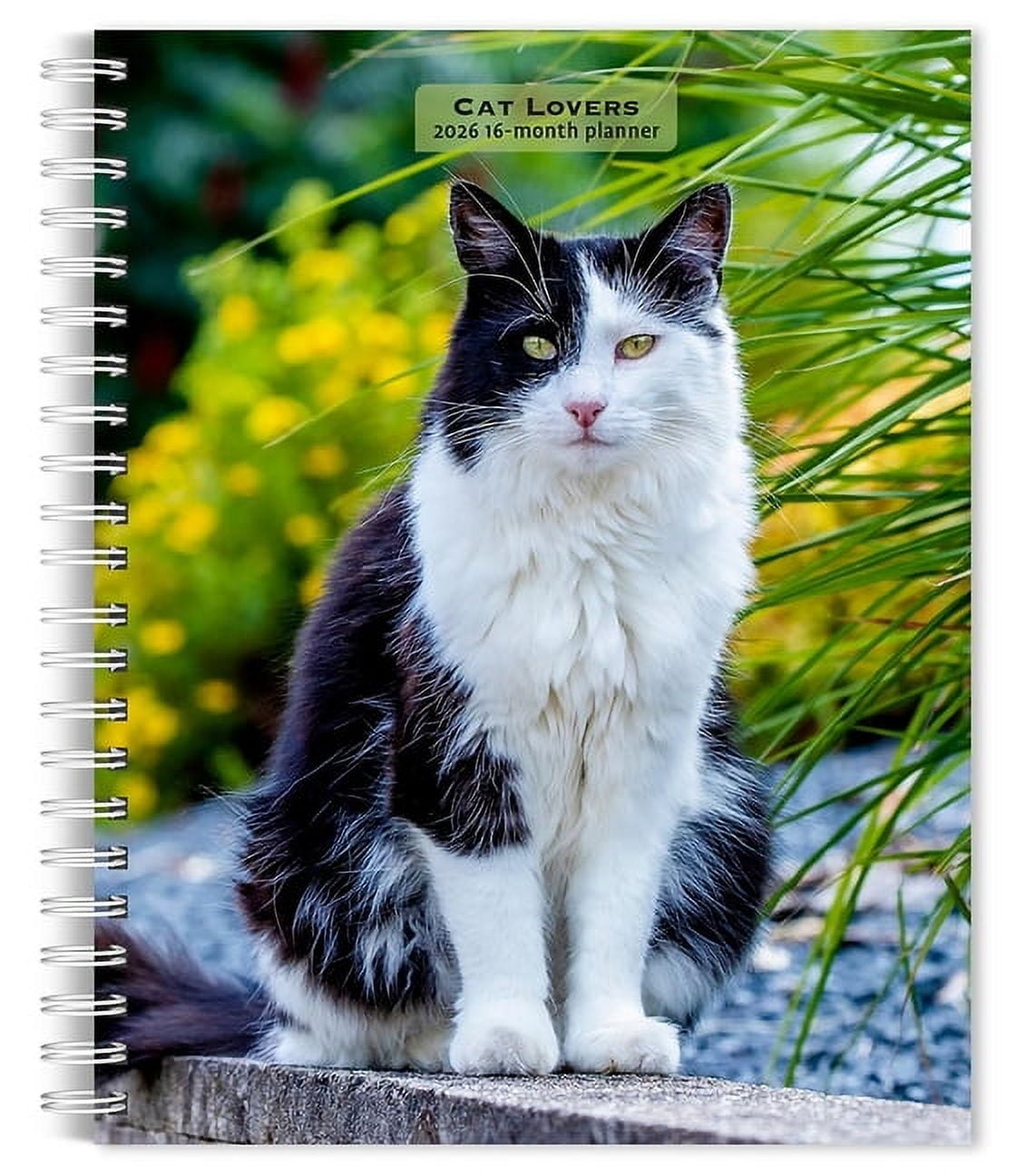 Cat Lovers 2026 6 X 7.75 Inch Spiral-Bound Wire-O Weekly Engagement ...