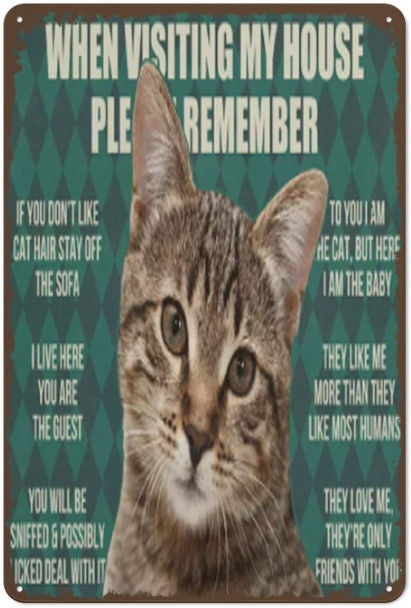 Cat Lovers Home Decorative Rules Wall Art Metal Tin Sign Print Family ...