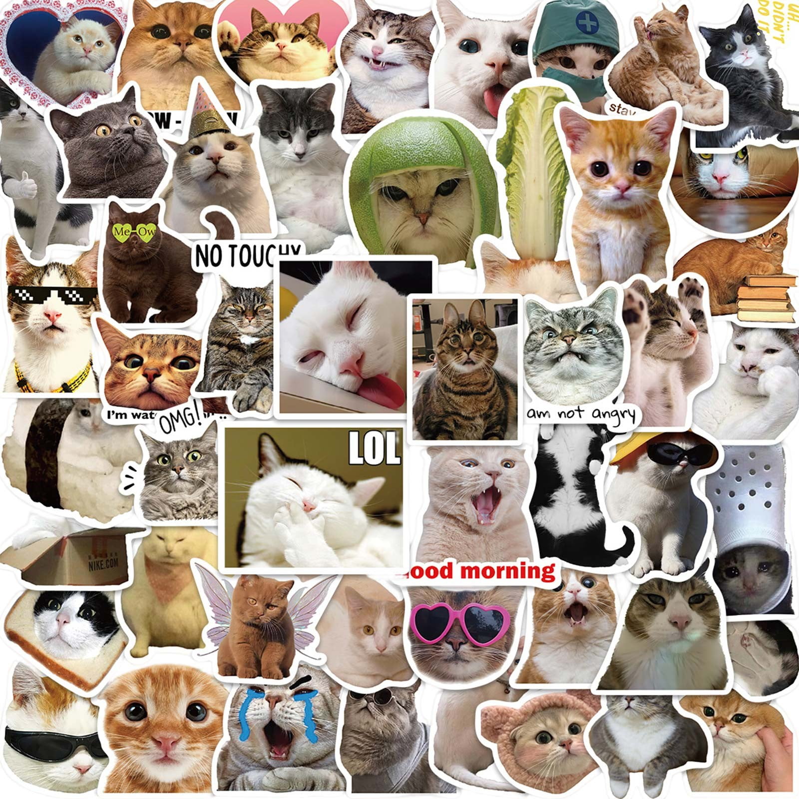 Cat Meme Stickers, Funny Cat Stickers for Kids Adults Journaling Adults ...