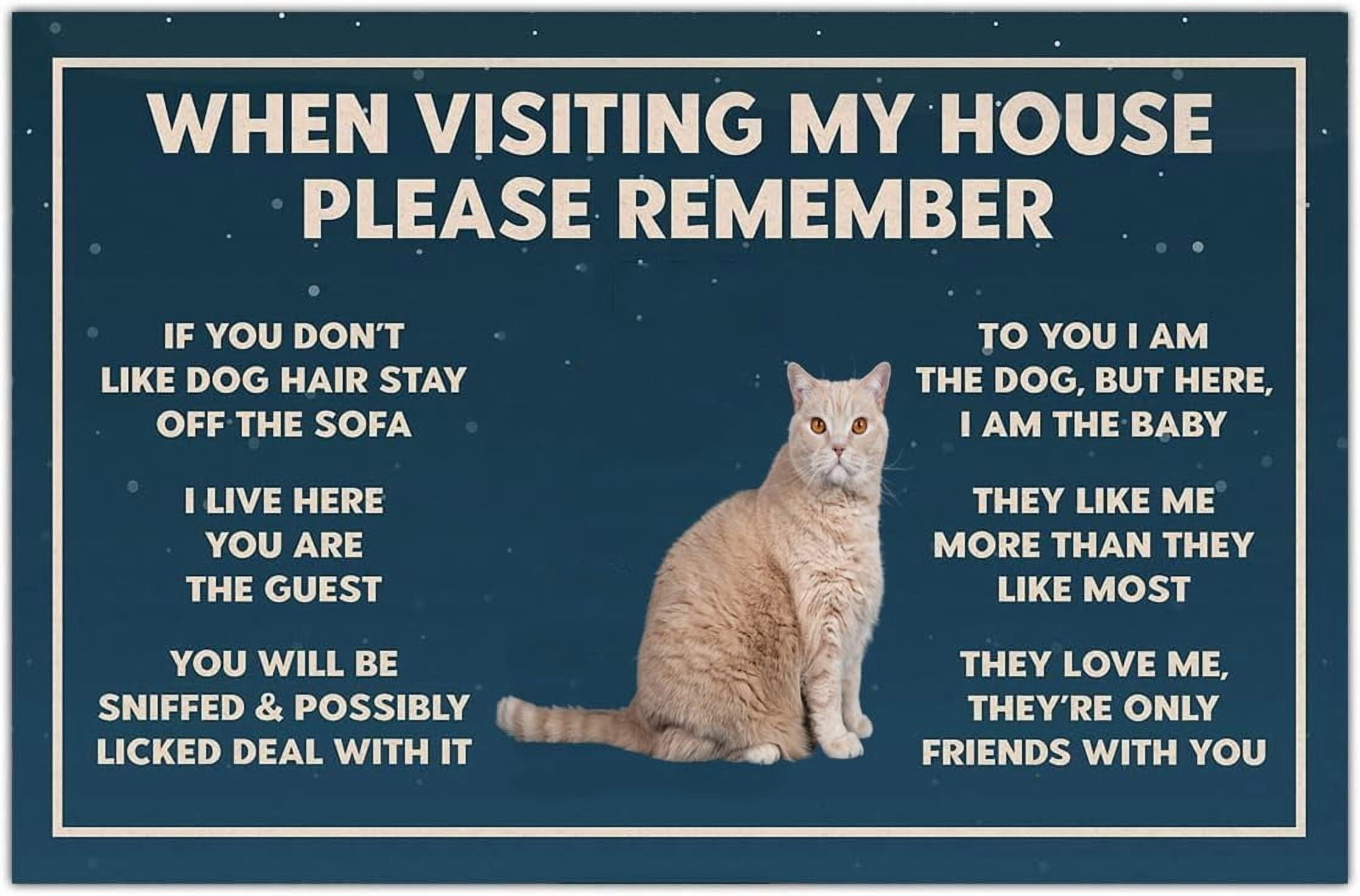 Cat Metal Tin Sign Cat Wall Art When Visiting My House Please Remember ...