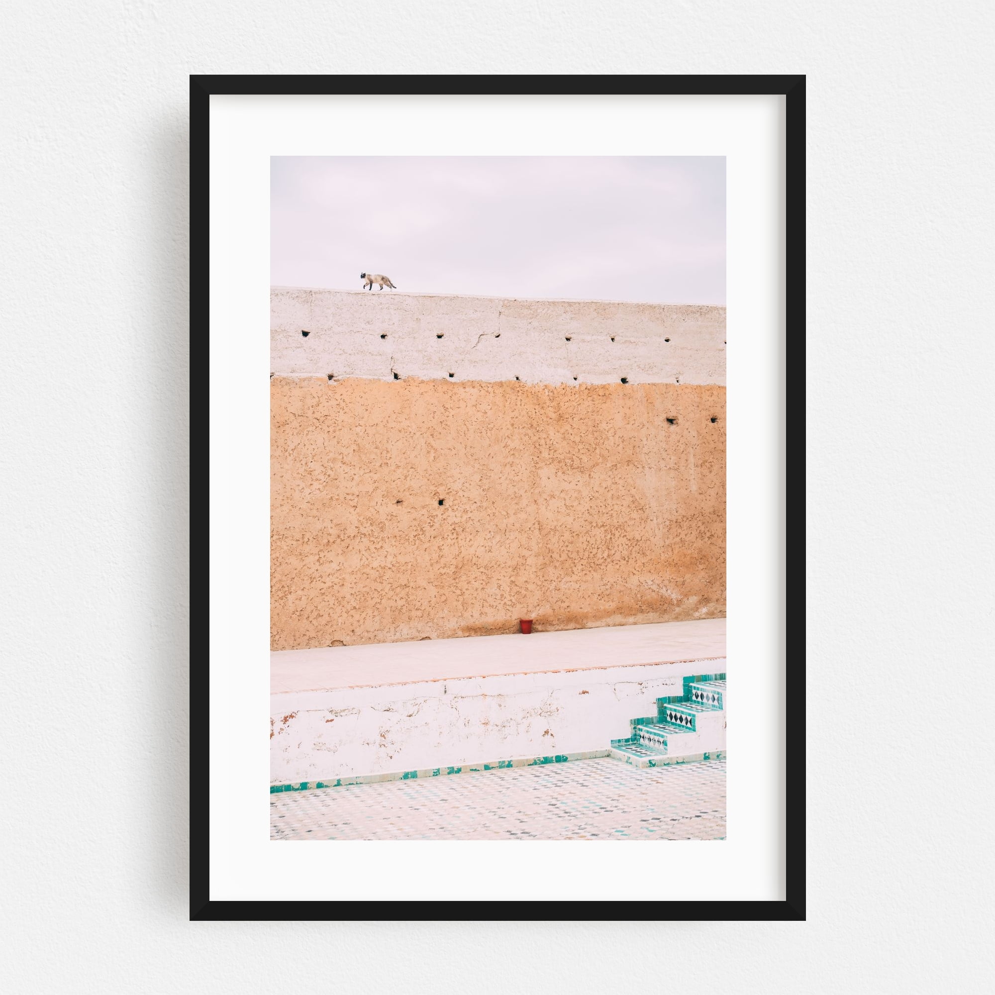 Cat in Morocco - Marrakesh Marrakesh-Safi Morocco Photography Minimalist Architecture Cat Desert ...