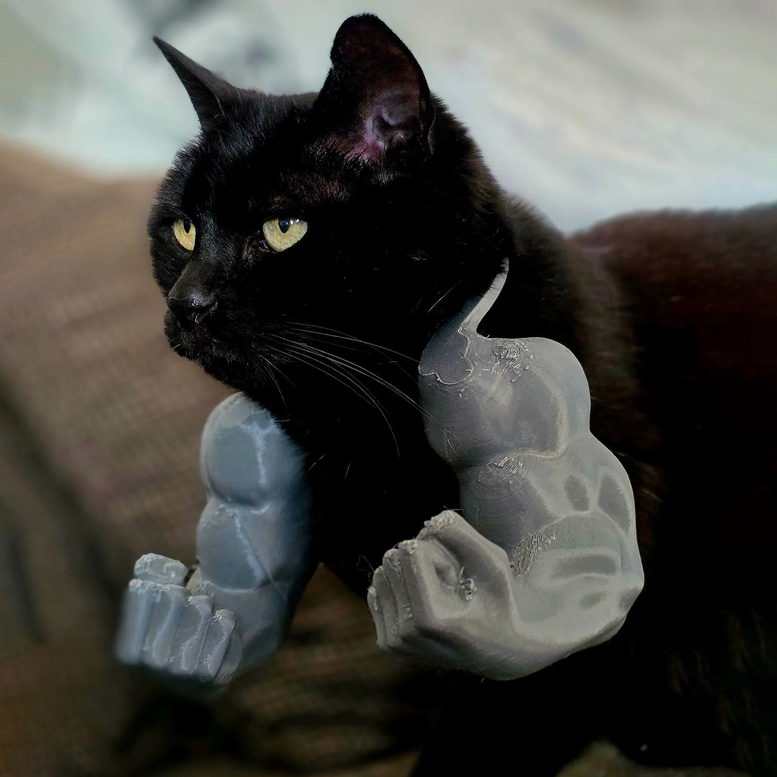Cat Muscle Arm Costume Halloween Cat Costume Accessory Cat Muscle Arm ...