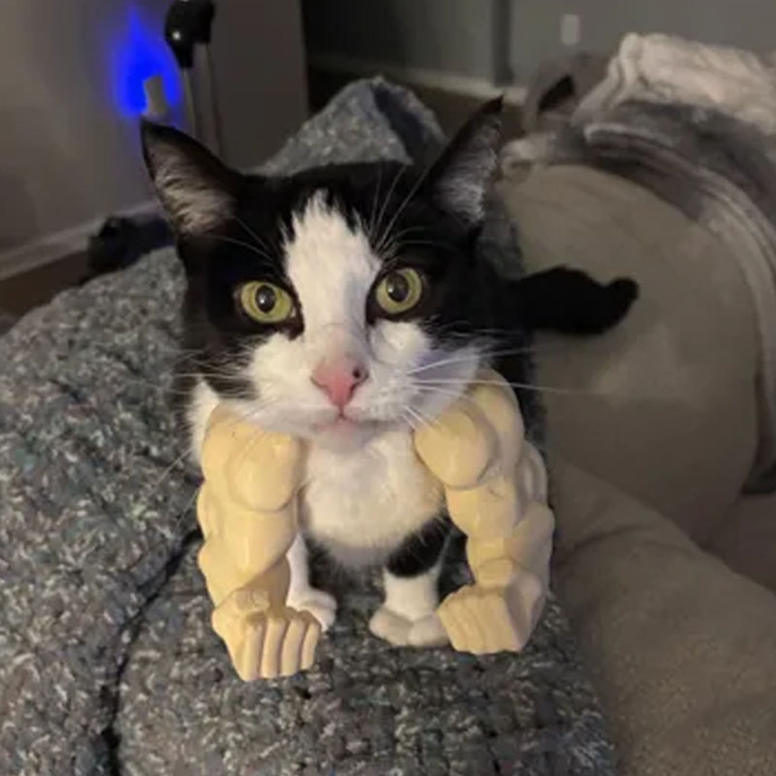 Cat Muscle Arm Costume Halloween Cat Costume Accessory Cat Muscle Arm ...