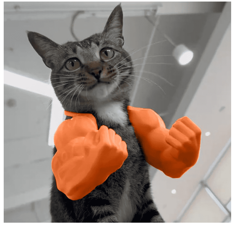 Cat Muscle Arm Halloween Cat Costume Accessory, 2025 New Funny 3D ...